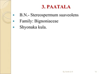 Brihat panchamoola dravya guna | PPTX