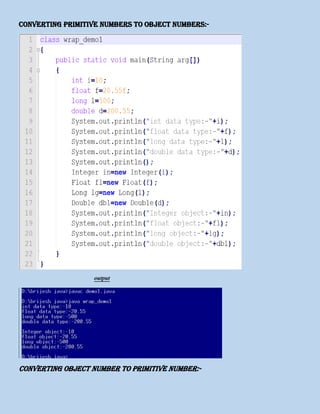 Brijesh Peswani,BCA 2nd Year | PDF | Programming Languages | Computing
