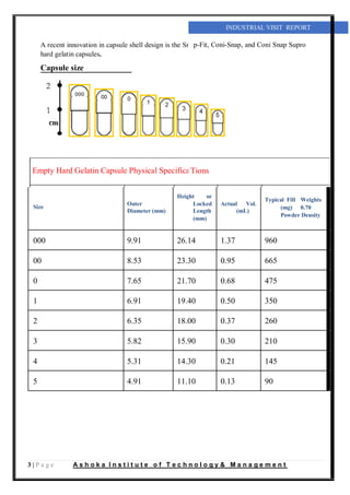 Industrial visit report | PDF