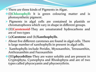 Brijesh p singh algal pigments | PPTX