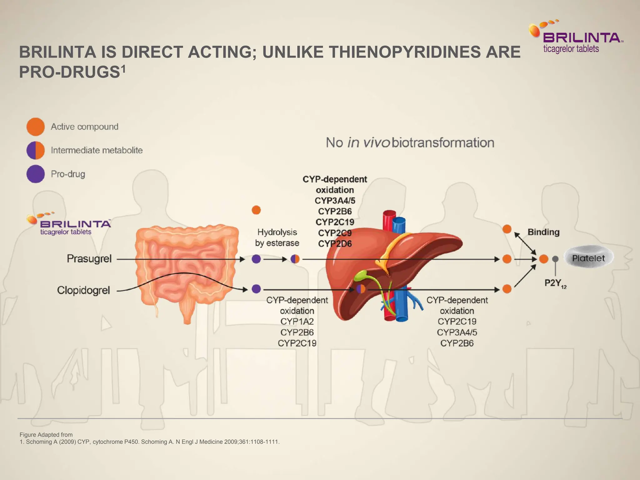 Brilinta_STEMI_Promotional_Slides_Update_(1)[1].pptx