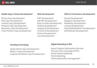 Brill mindz profile | PPTX