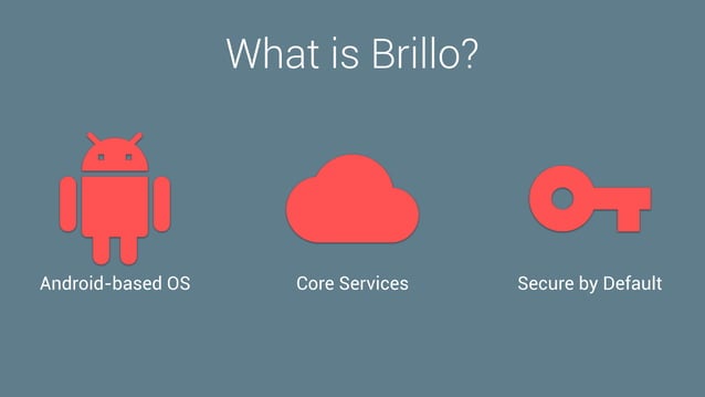 What is Brillo | PPT
