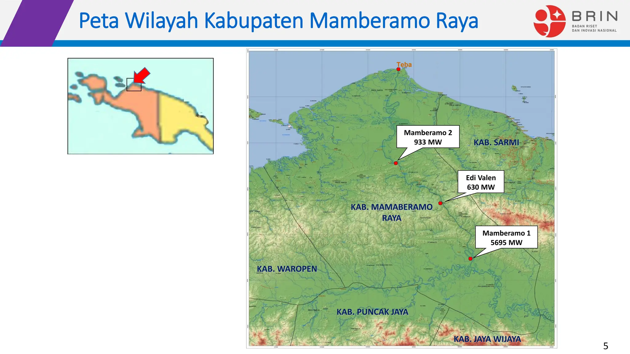 brin-pengembangan-plta-mamberamo-terintegrasi.pdf