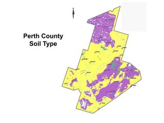 Sustainable Food Systems | PDF