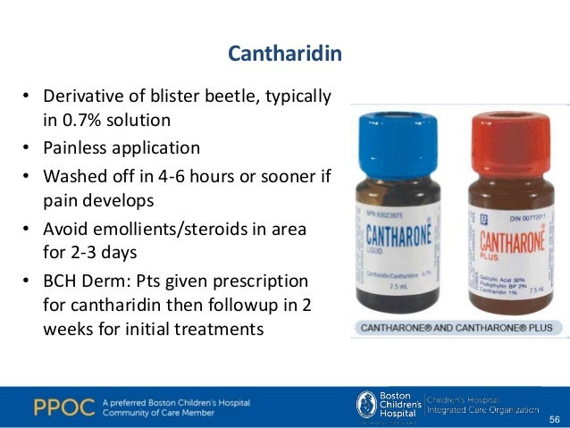 Bringing basic dermatology to the pediatric medical home session 3 wa…