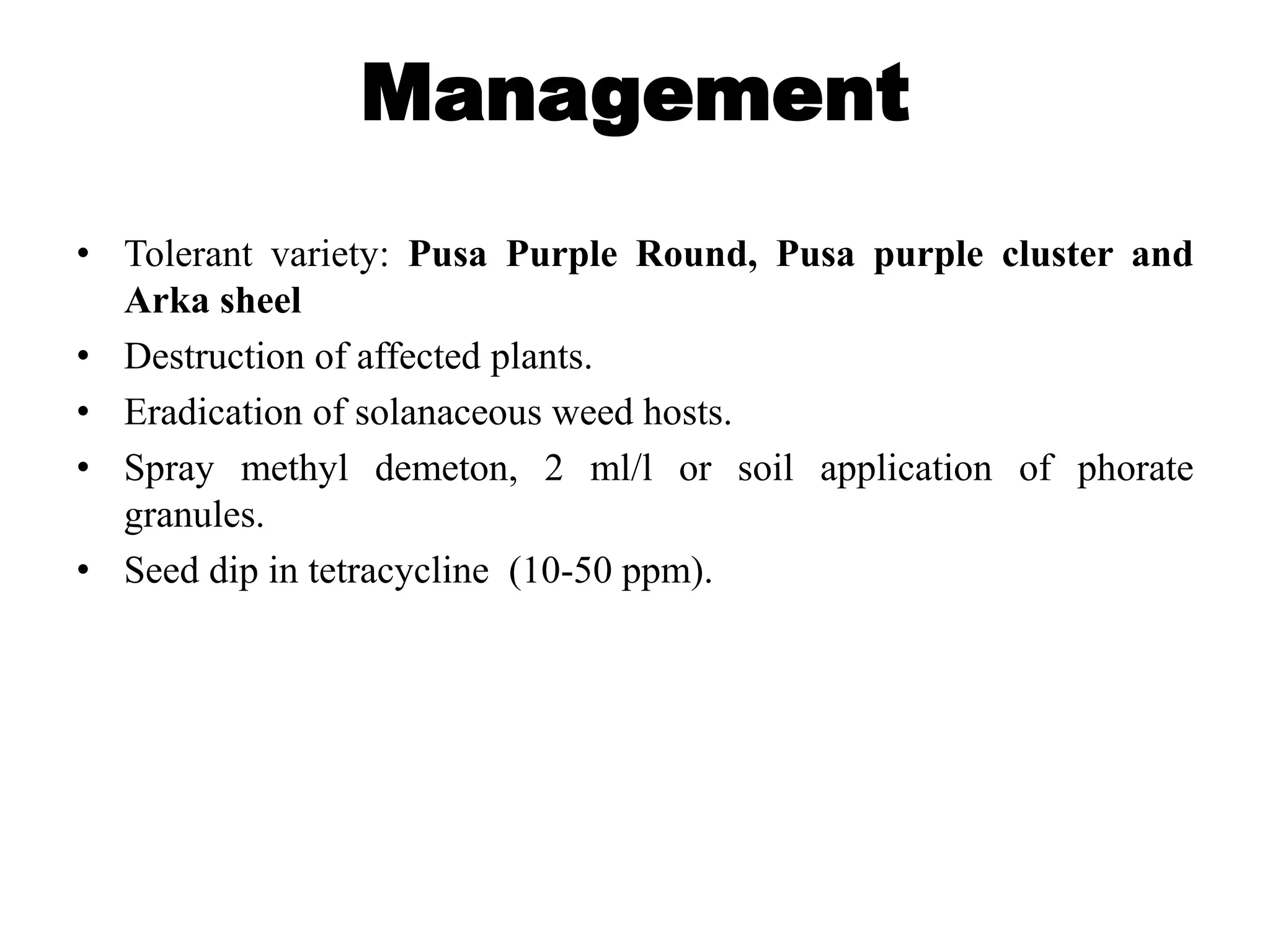 Diseases of Brinjal | PPTX