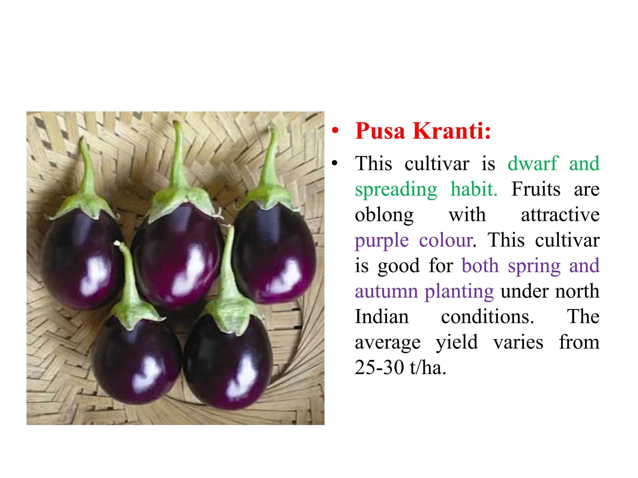 Brinjal.pptx introduction definition topic | PPTX