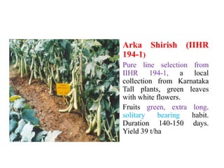 Brinjal.pptx introduction definition topic | PPTX