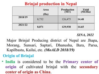 Cultivation Practice of Brinjal in nepal.pptx