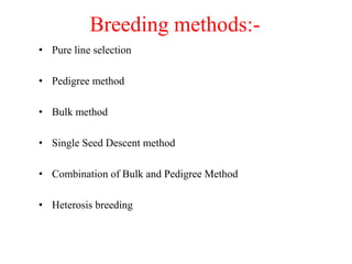 Breeding in Brinjal | PPTX