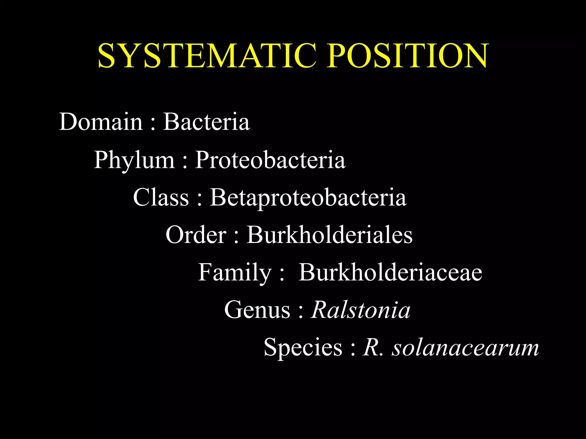 Brinjal bacterial wilt | PPTX