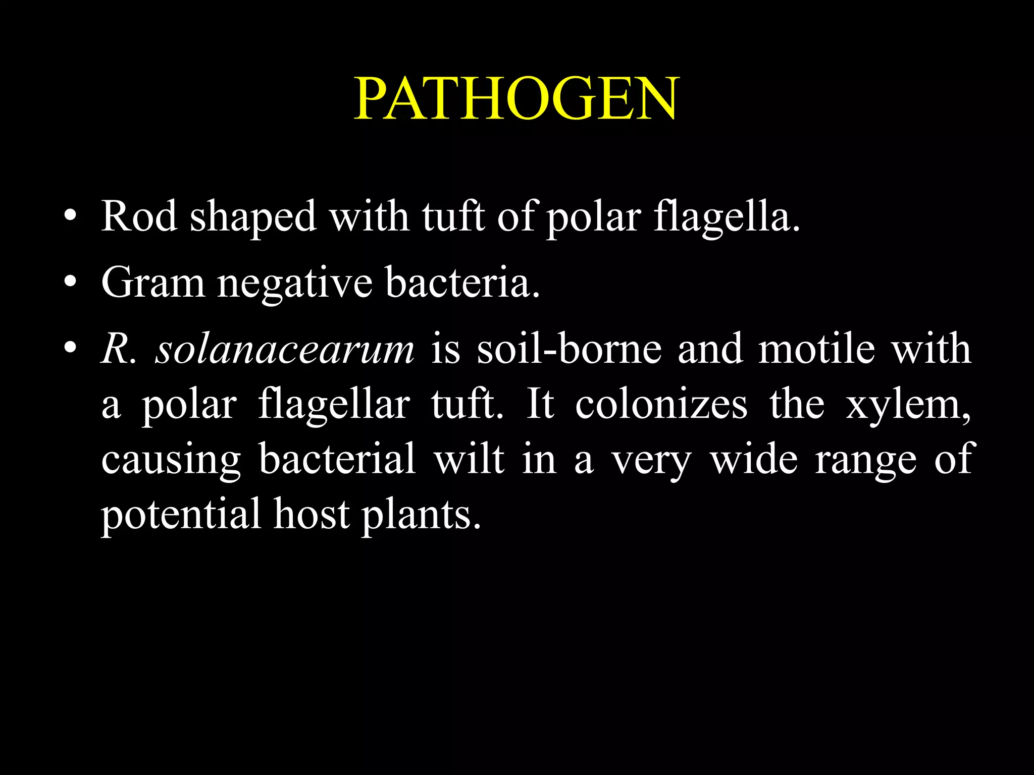 Brinjal bacterial wilt | PPTX