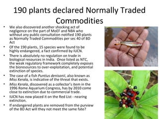 Brinjal biopiracy | PPT