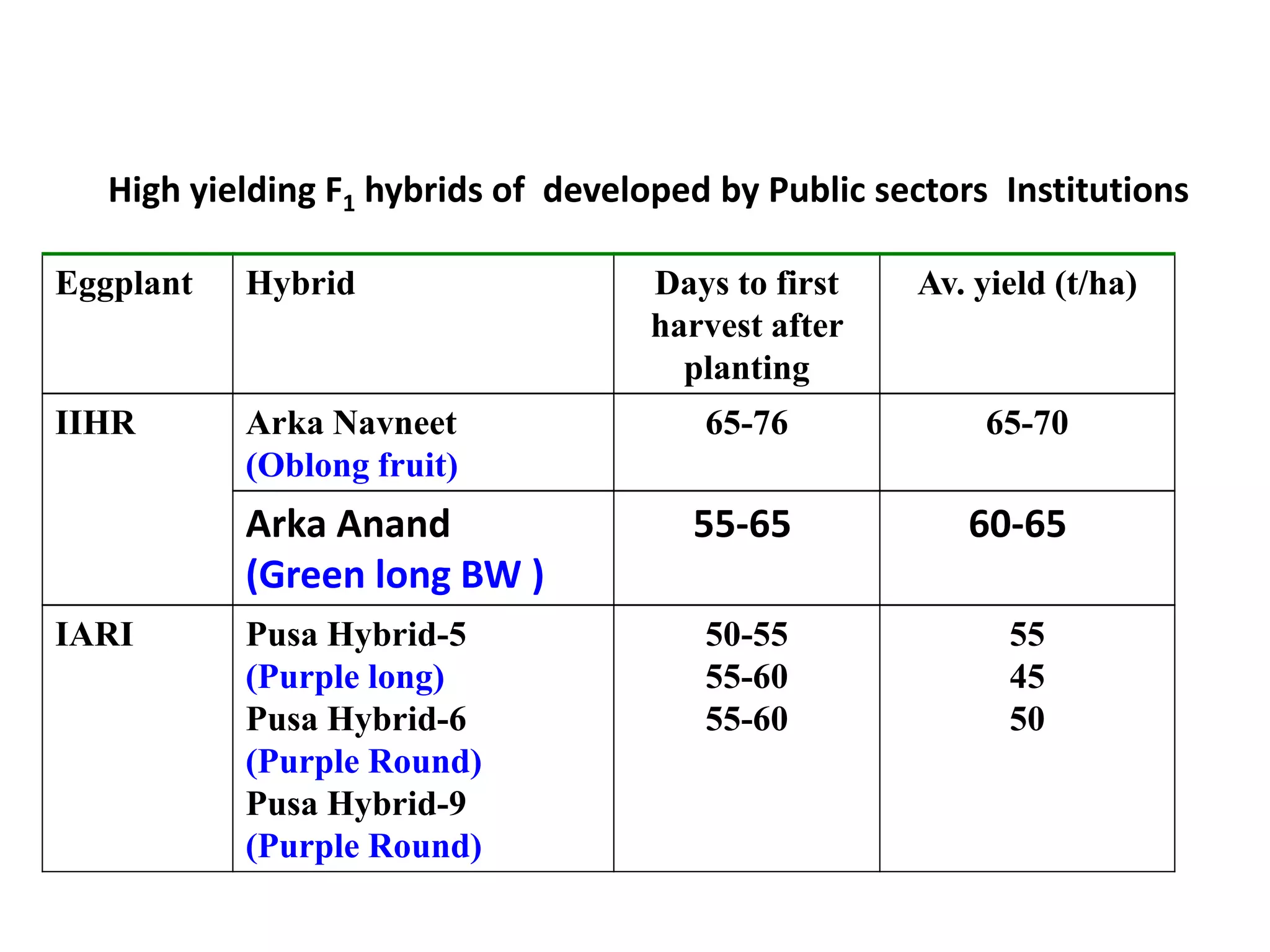 Brinjal seed production for gkvk 31 10-18 | PPTX
