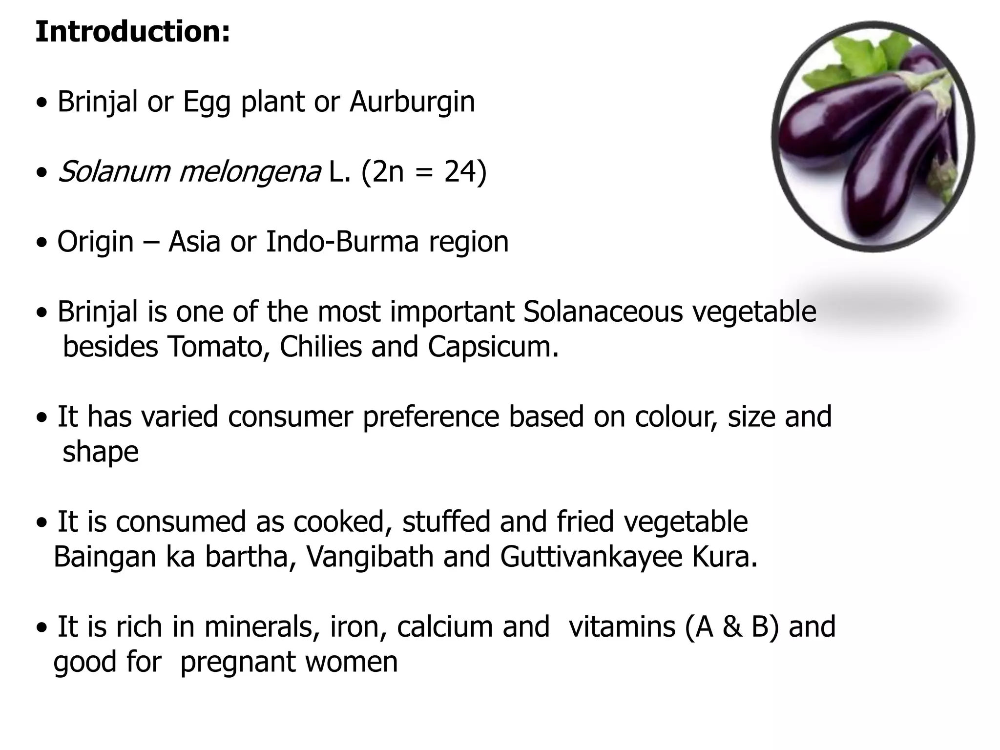Brinjal seed production for gkvk 31 10-18 | PPTX