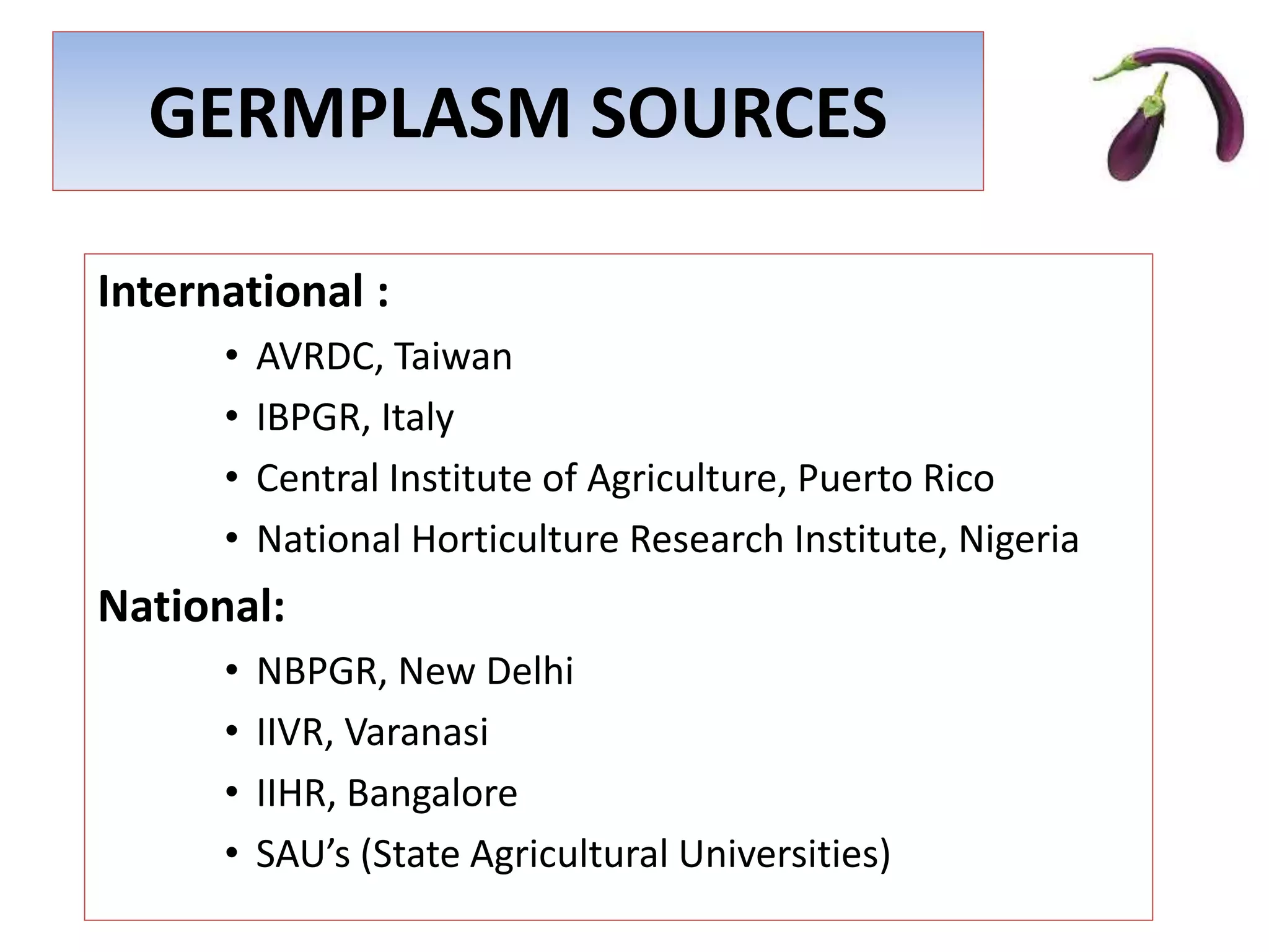 Brinjal seed production for gkvk 31 10-18 | PPTX