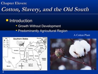 Brinkley13 ppt ch11 | PPT