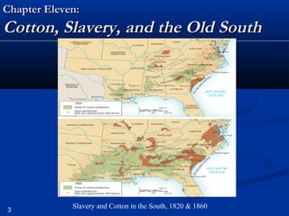 Brinkley13 ppt ch11 | PPT