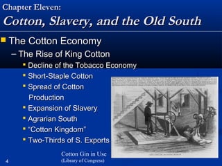 Brinkley13 ppt ch11 | PPT