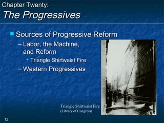 Brinkley13 ppt ch20 | PPT