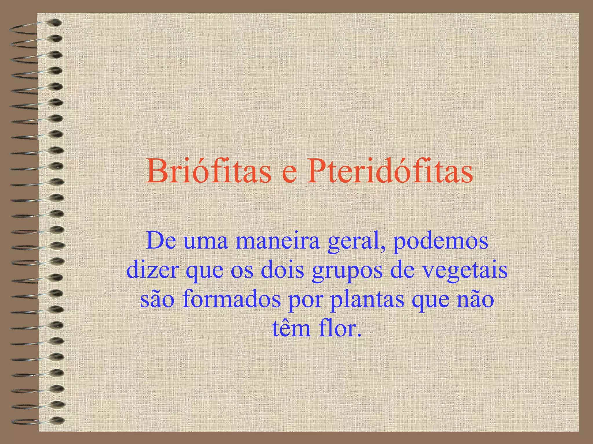 Briofitas E Pteridofitas | PPT