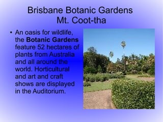 Brisbane | ODP