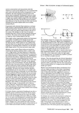 Briscoe B. (1981) | PDF | Physics | Science
