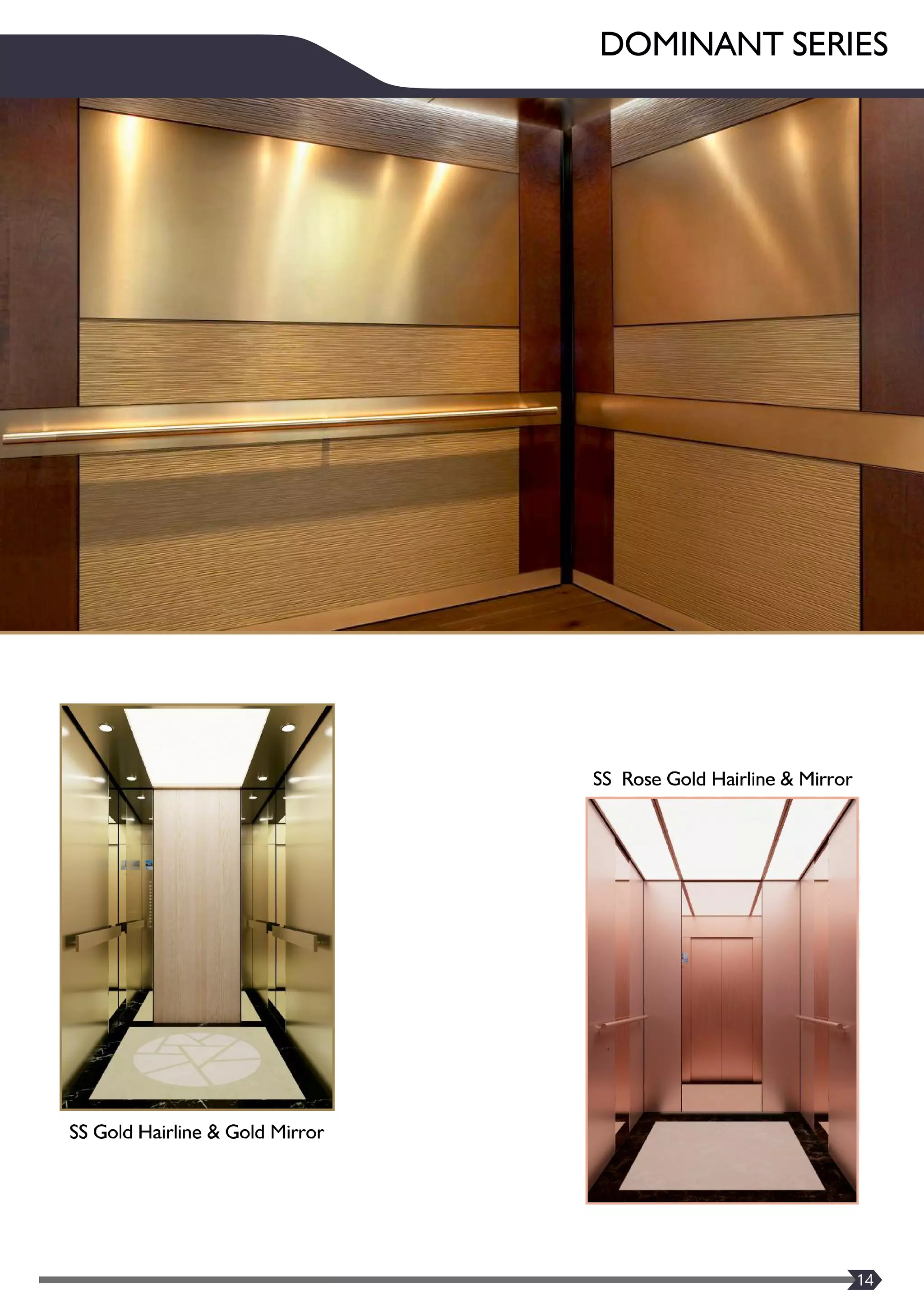 Brisk Elevators!! Corporate Brochure | PDF