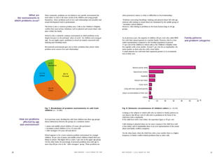 BRIS Report 1999 | PDF