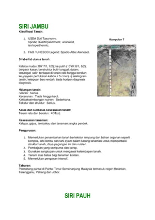 Bris soil clasification | DOC