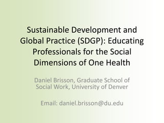 Sustainable Development and Global Practice (SDGP): Educating Professionals for the Social ...
