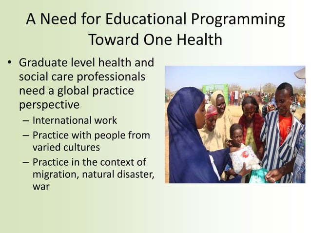 Sustainable Development and Global Practice (SDGP): Educating Professionals for the Social ...