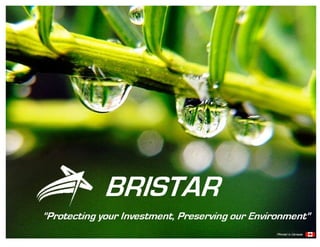 Bristar Portfolio | PDF