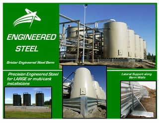 Bristar Portfolio | PDF