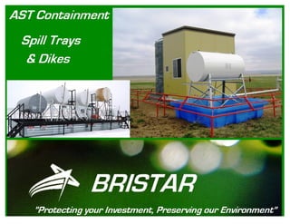 Bristar Portfolio | PDF