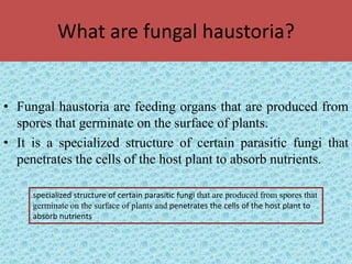Fungal Haustoria | PPTX