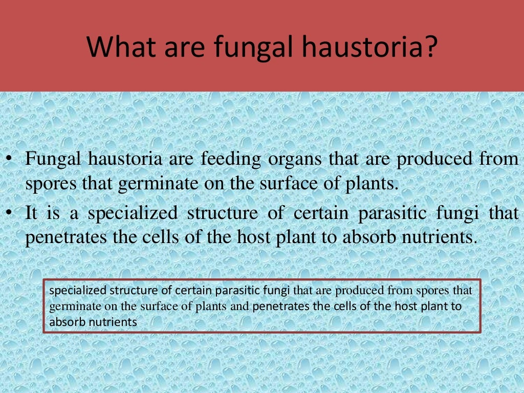 Fungal Haustoria