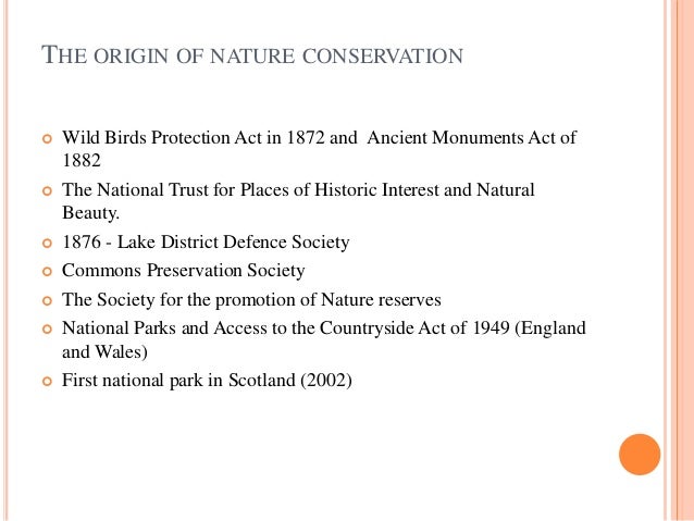 Britain culture - British characteristics