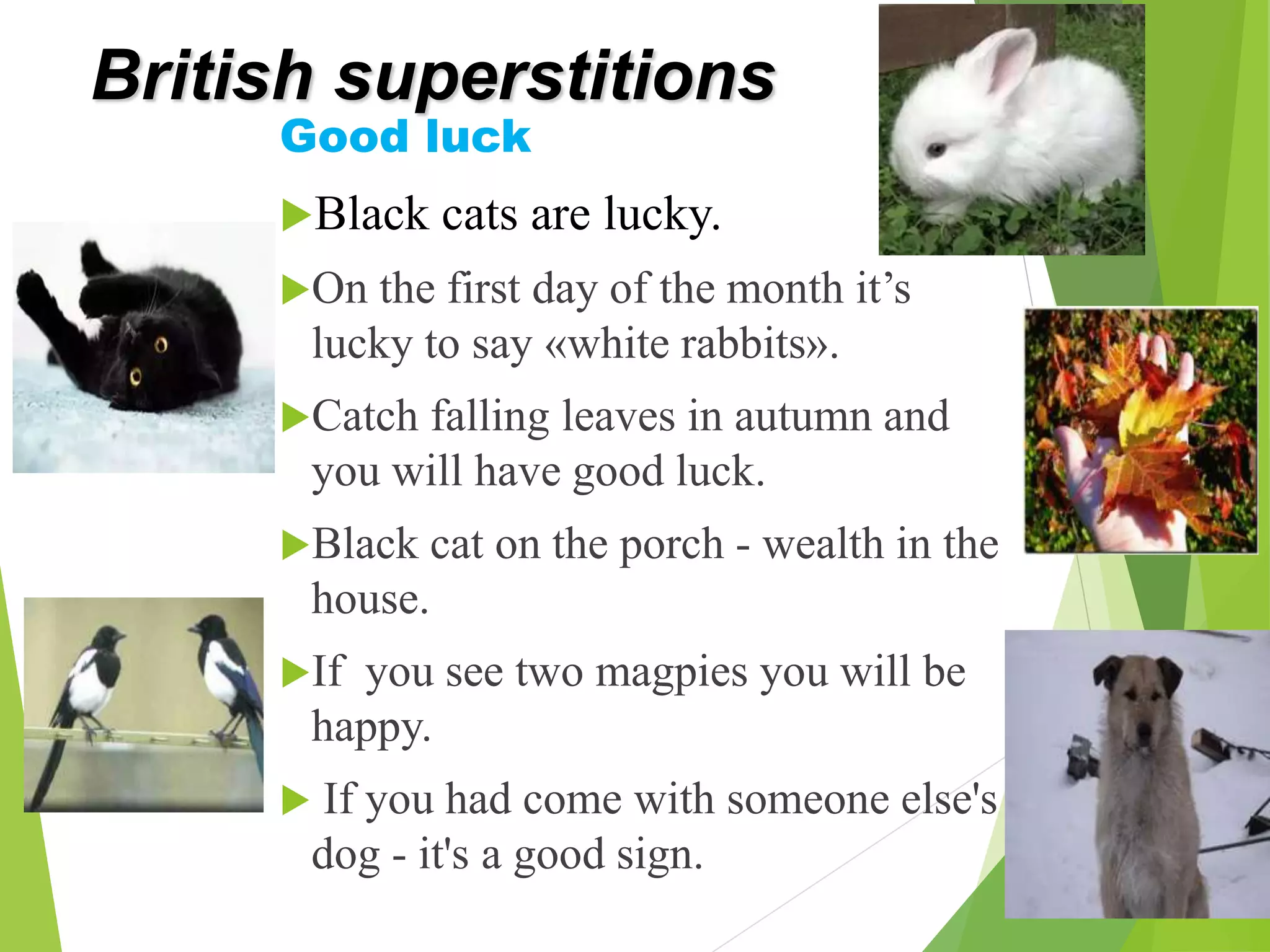 Britanskie sueveria | PPTX | Cats | Pets