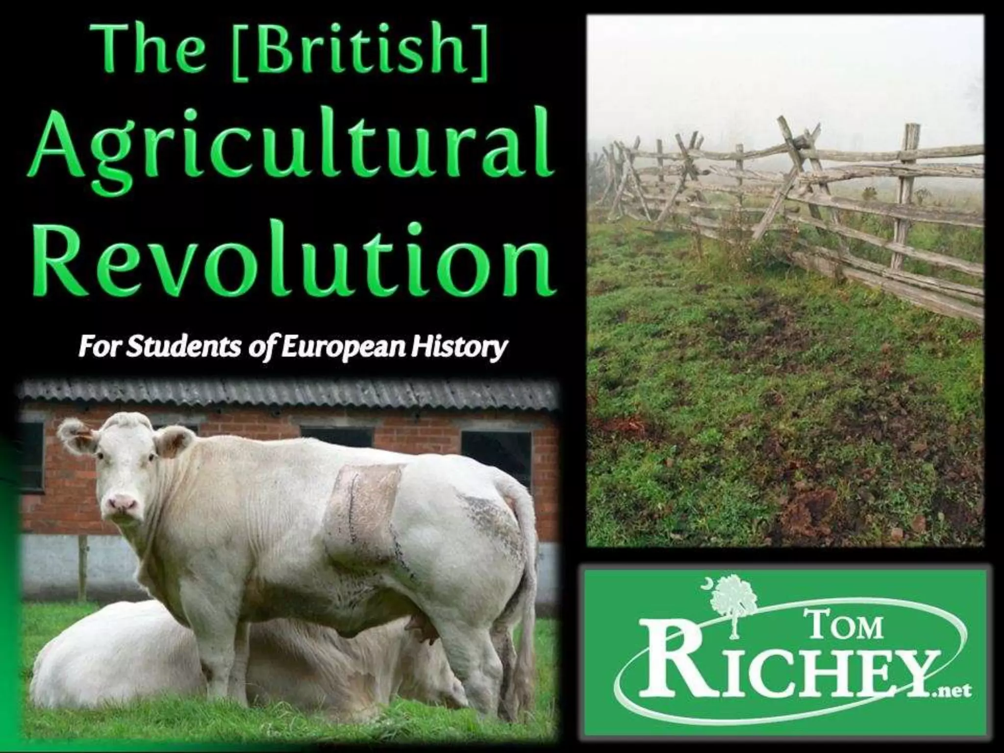 British Agricultural Revolution (AP European History) | PPT