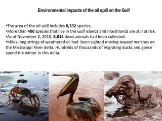 British petroleum & gulf oil spill of 2010 | PPTX