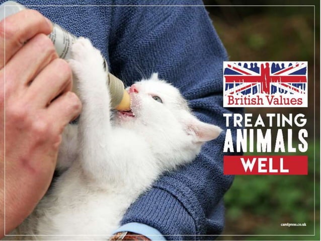 British values part 1 | PPT