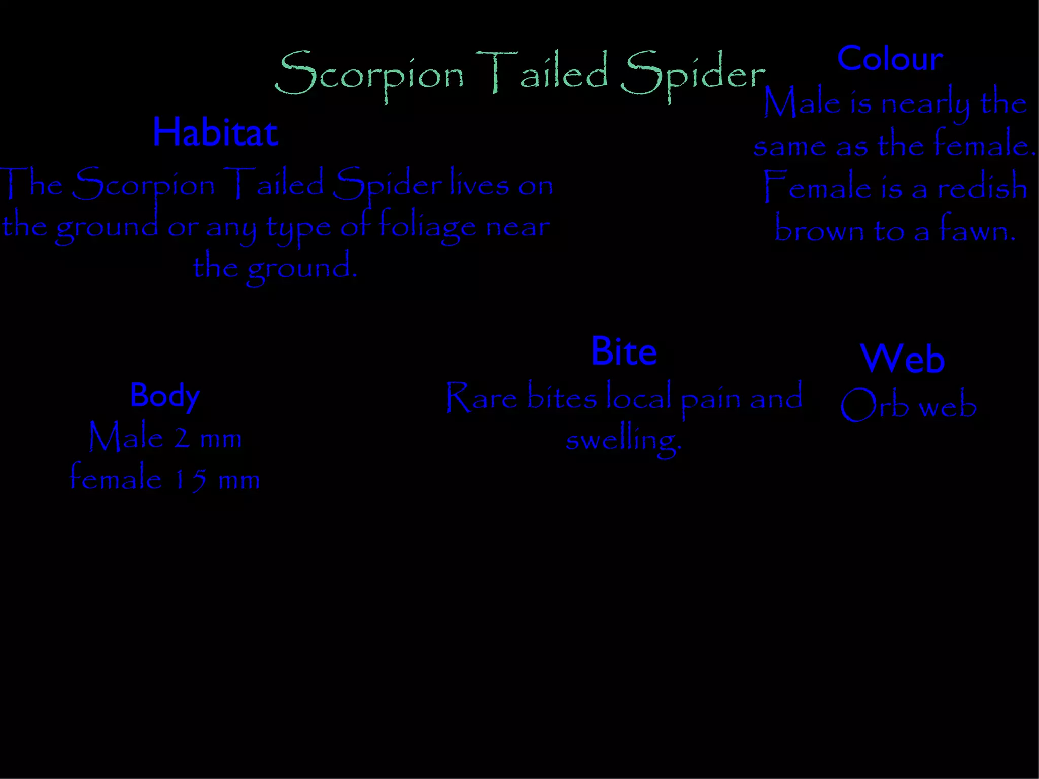 spiders | PPT