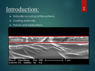 Brittle coating methods | PPTX