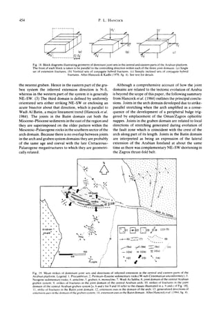 Brittle_microtectonics_principles_and_pr.pdf