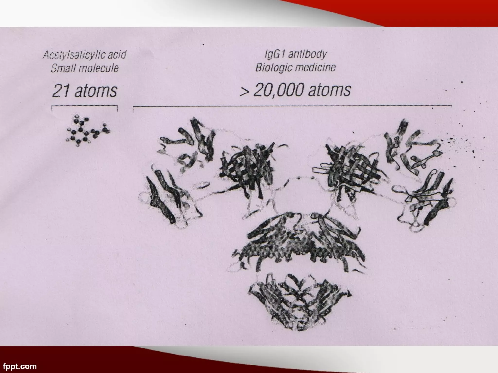 Biological response modifiers | PPT