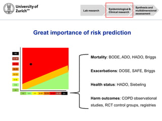Individual Risk Stratification | PPTX