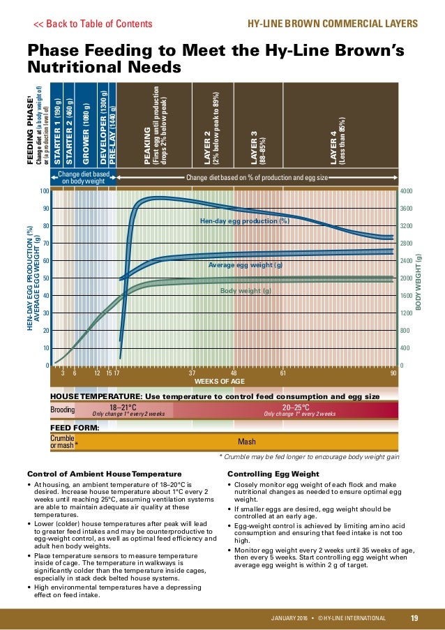 HYLINE BROWN LAYER EGG MANUAL