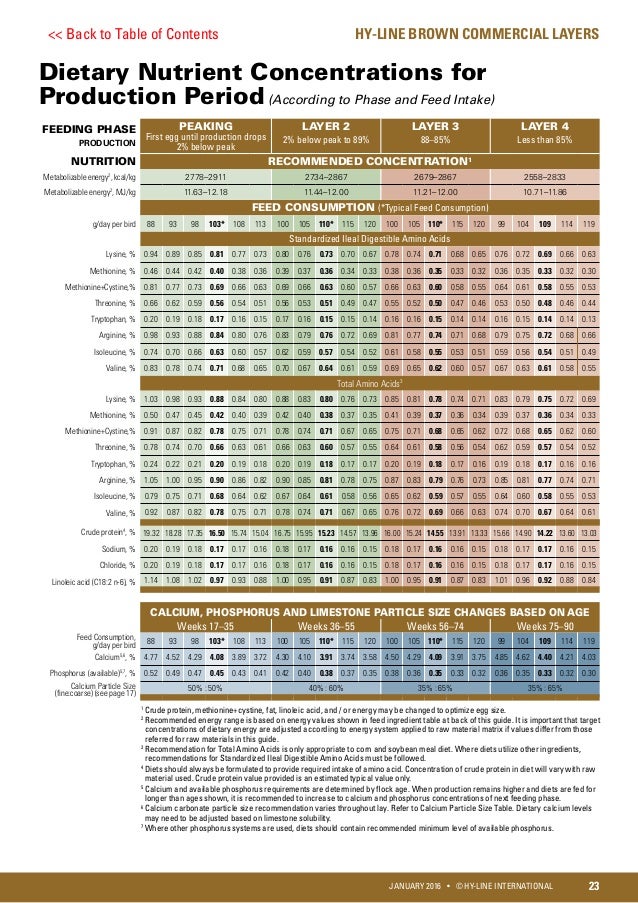 HYLINE BROWN LAYER EGG MANUAL